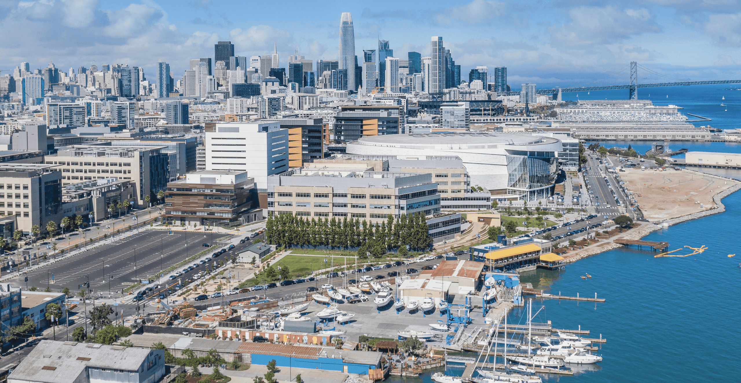 CZ Biohub | Contact Us