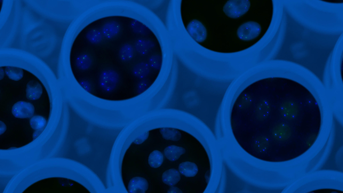 Scientific Tools and Resources - CZ Biohub Network