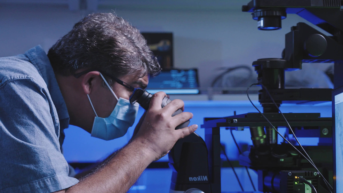 Press - CZ Biohub Network