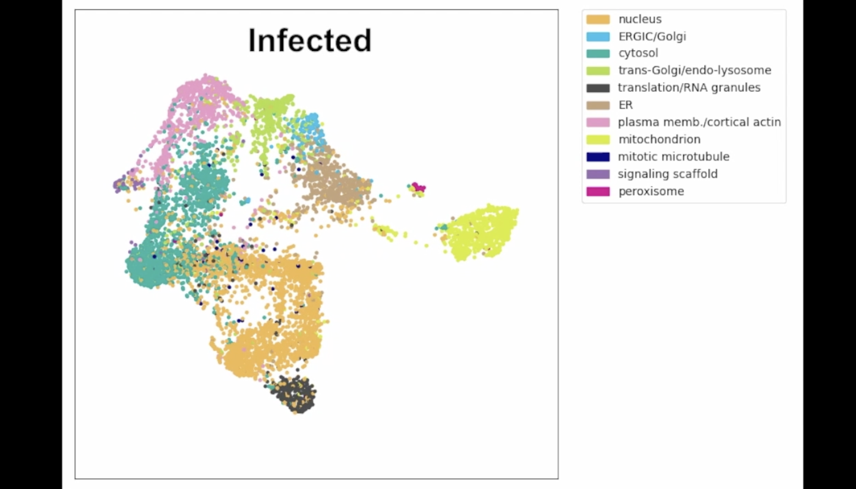 Scientists create comprehensive map of protein locations within human cells
